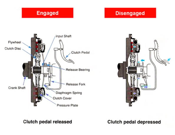 Anatomy of a Clutch